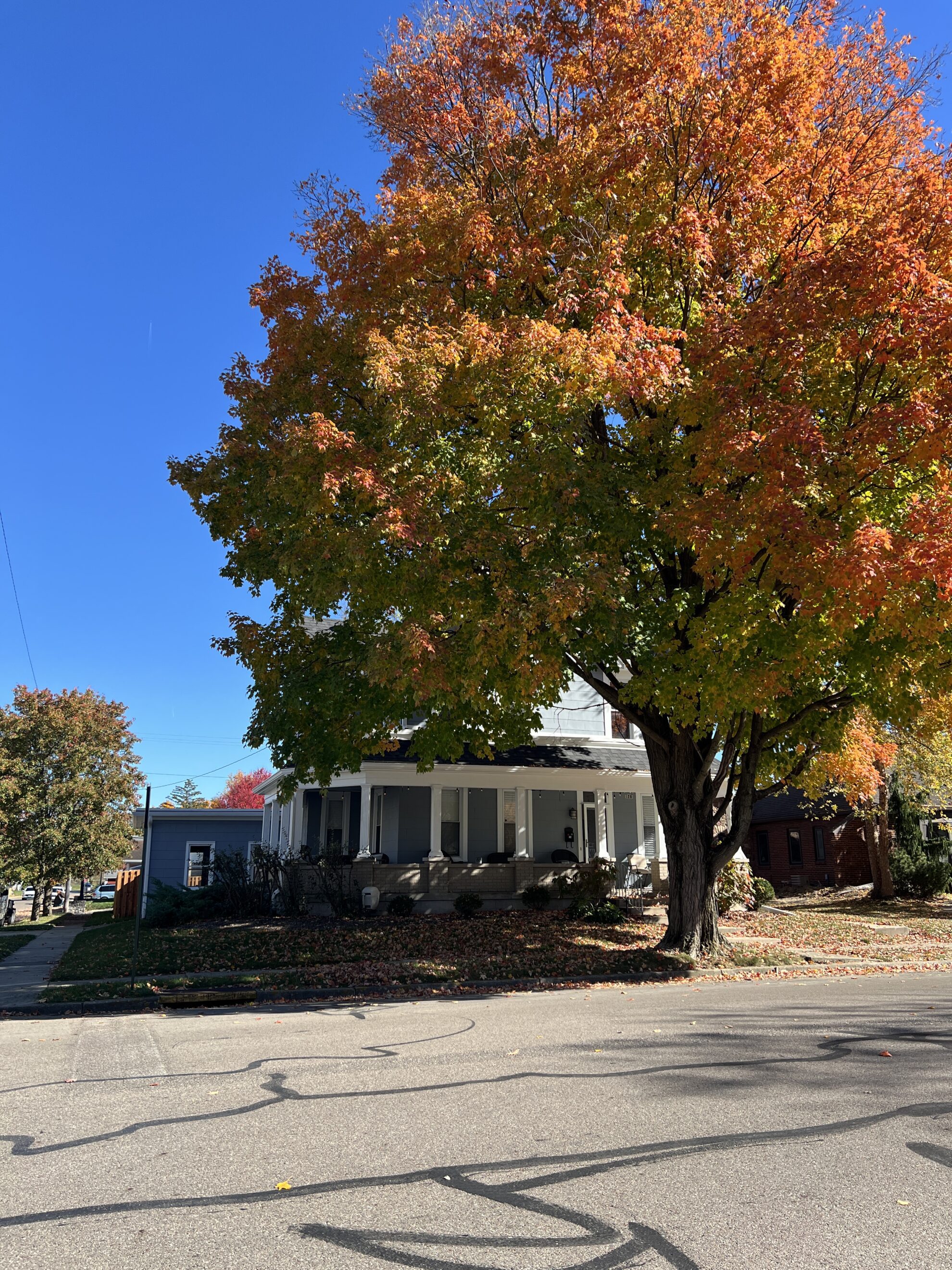 Tippecanoe & Christmas Too - Downtown Tipp City Partnership