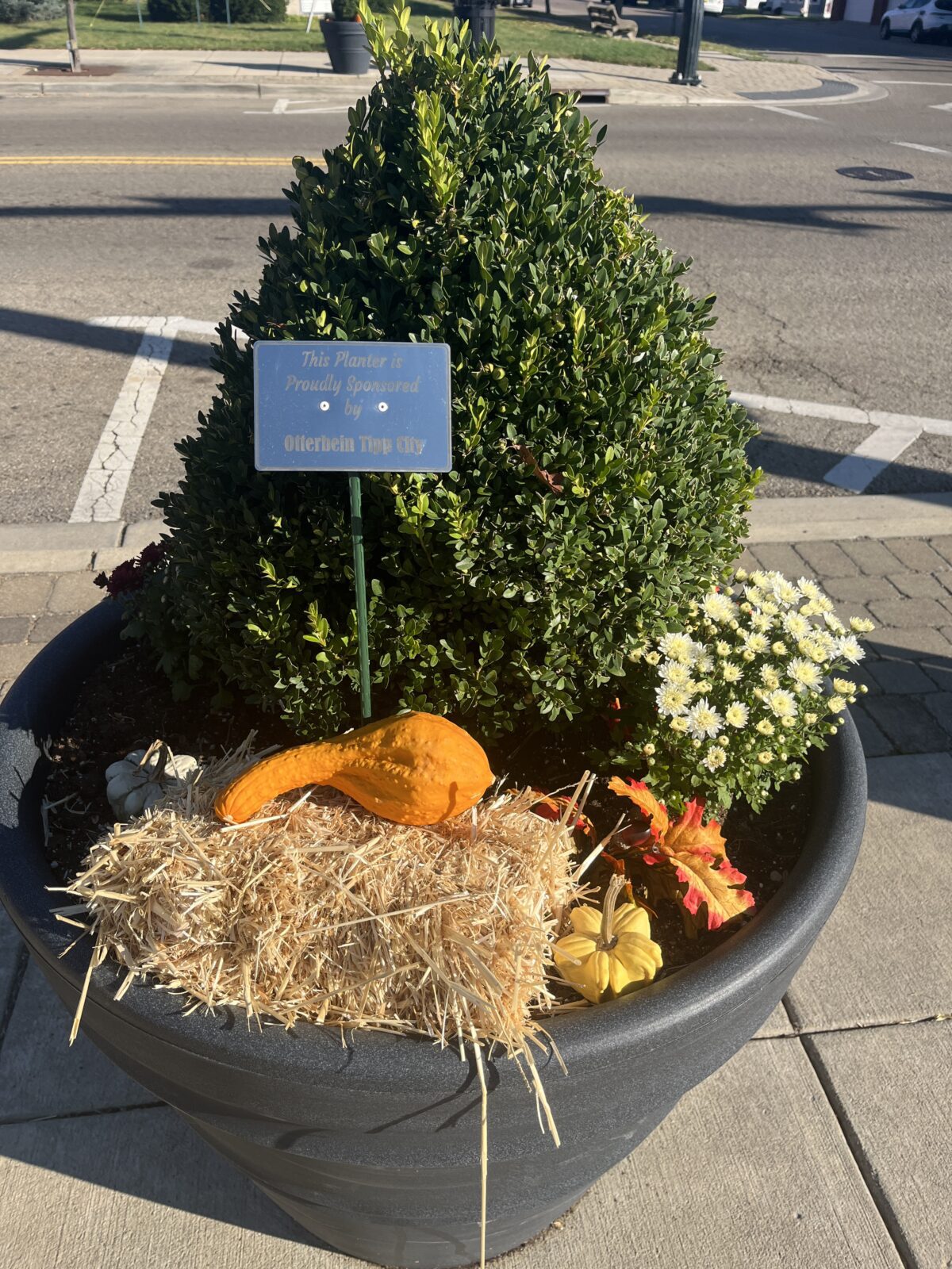 Adopt a Pot and the Volunteers Who Make It Bloom - Downtown Tipp City ...